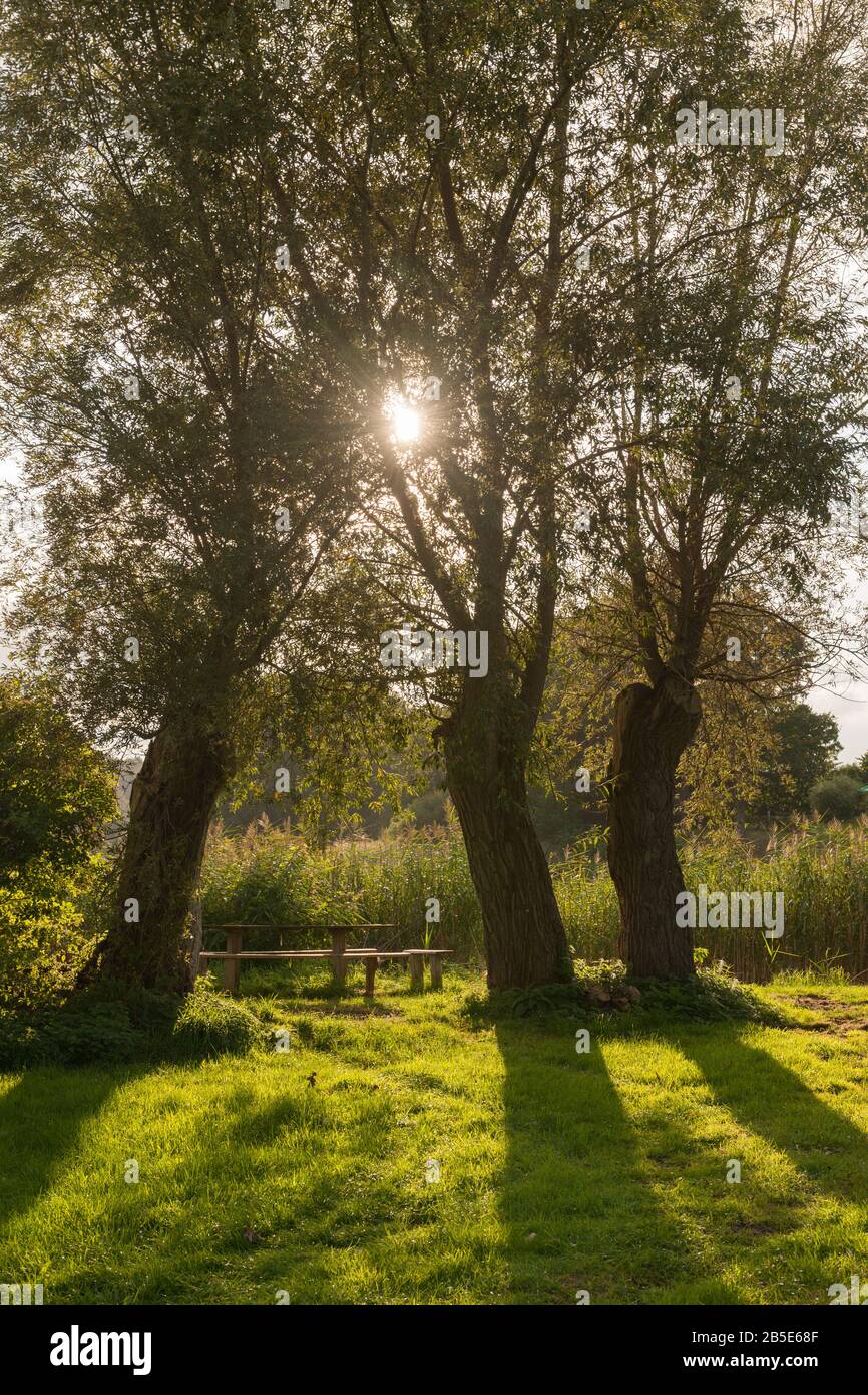 Lit backlight hi-res stock photography and images - Alamy