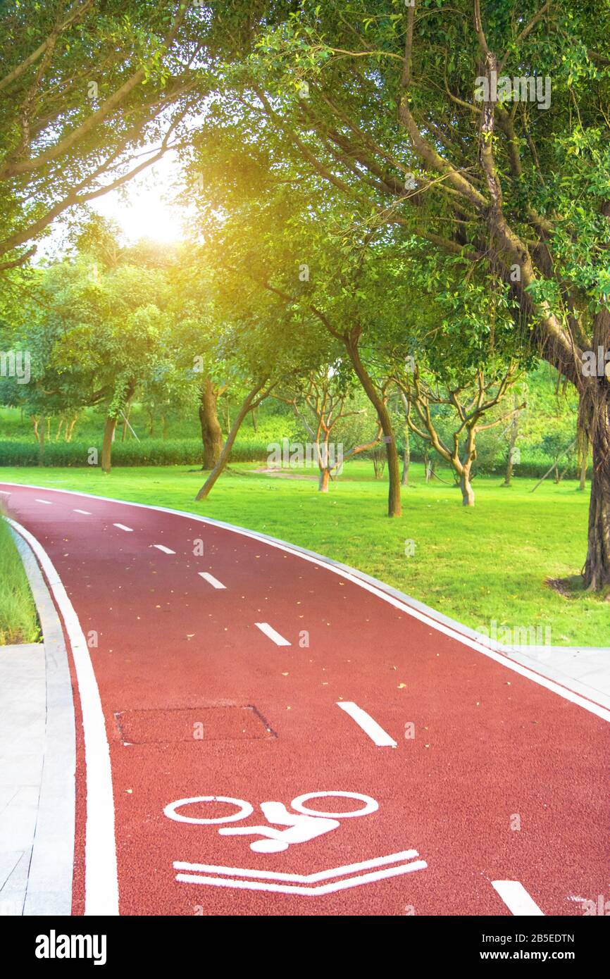 Bicycle lane and running track in the Fushan Park of Jiangmen ...