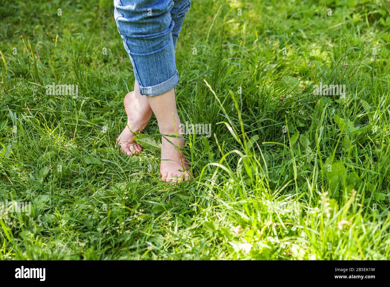 Two beautiful female feet walking on grass in sunny summer morning ...