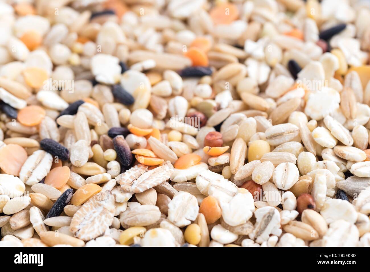 colorful mixed grain closeup detail view background Stock Photo - Alamy