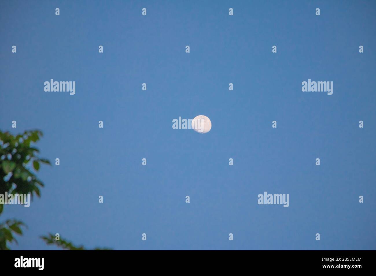 The moon in the sky at night Stock Photo - Alamy