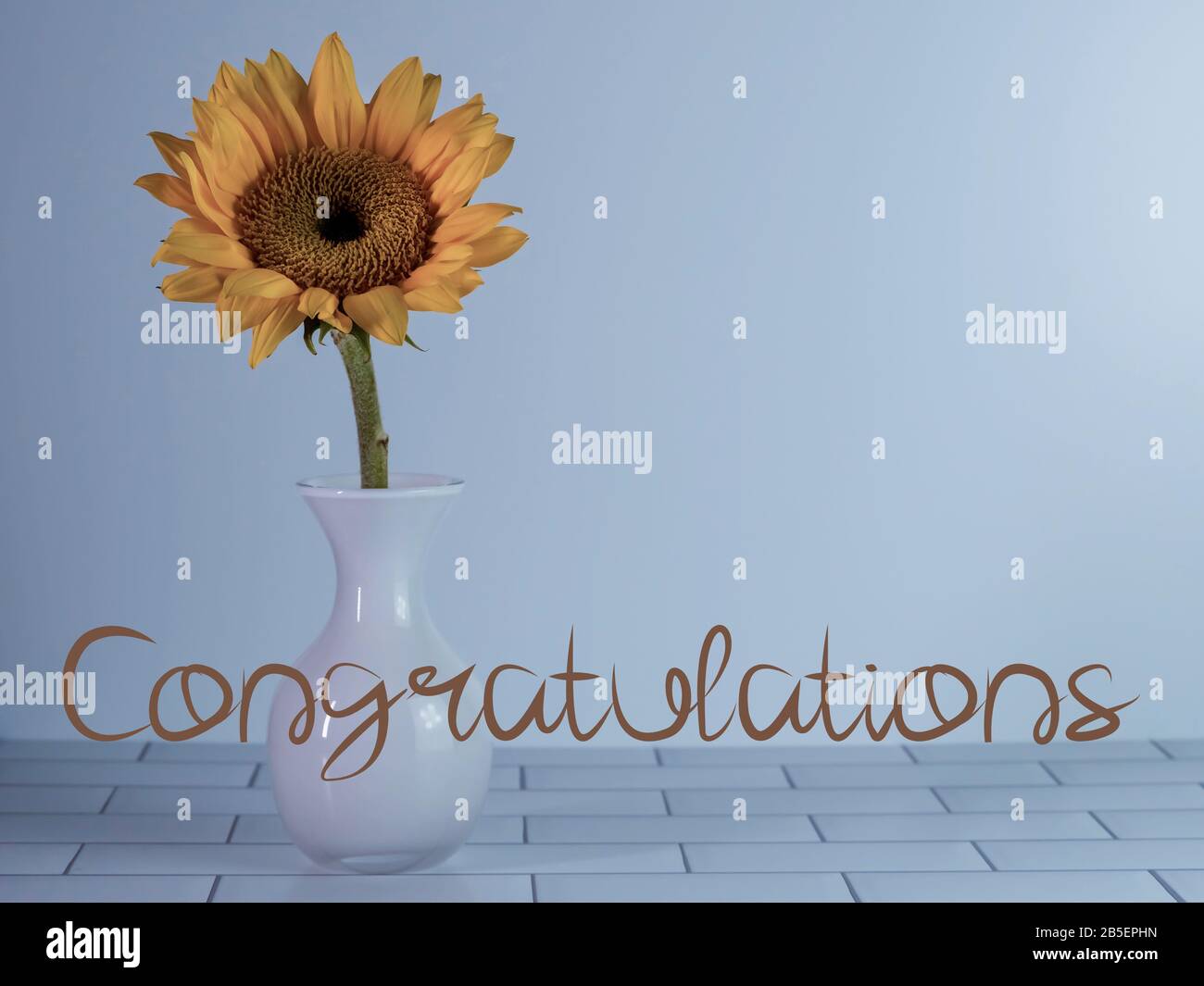 Congratulations written in a brown font across a single yellow ...