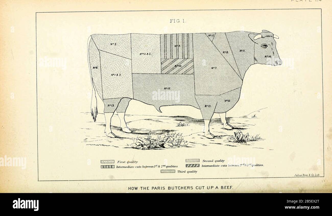 Old beef chart hi-res stock photography and images - Alamy