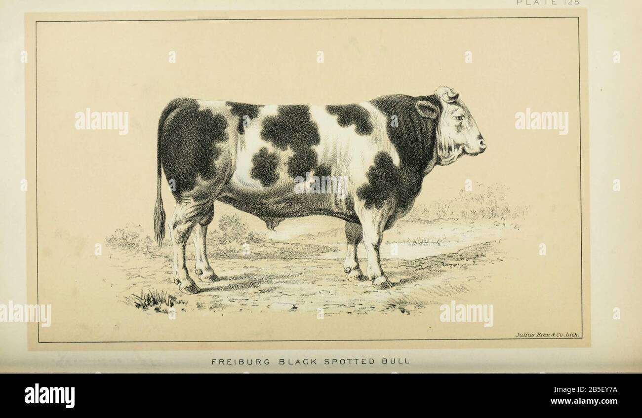 Vintage dairy farm hi-res stock photography and images - Alamy