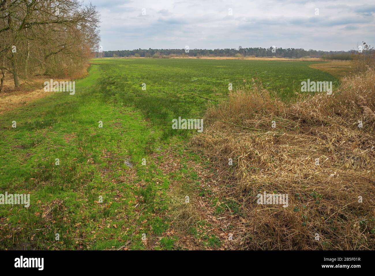 Mol postel hi-res stock photography and images - Alamy