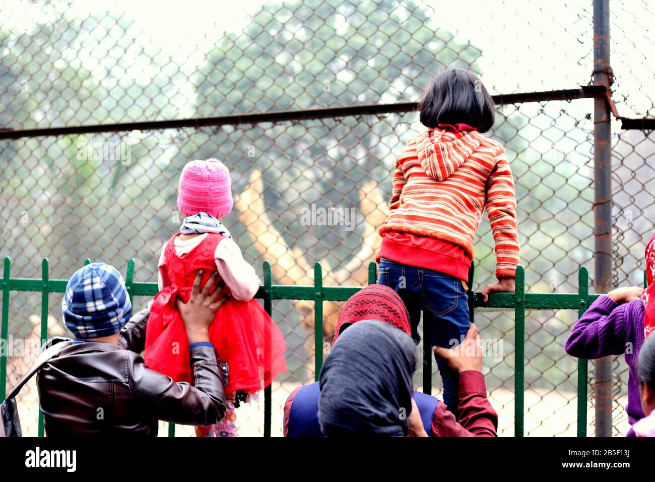 Children observing animals at kolkata zoo Stock Photo - Alamy