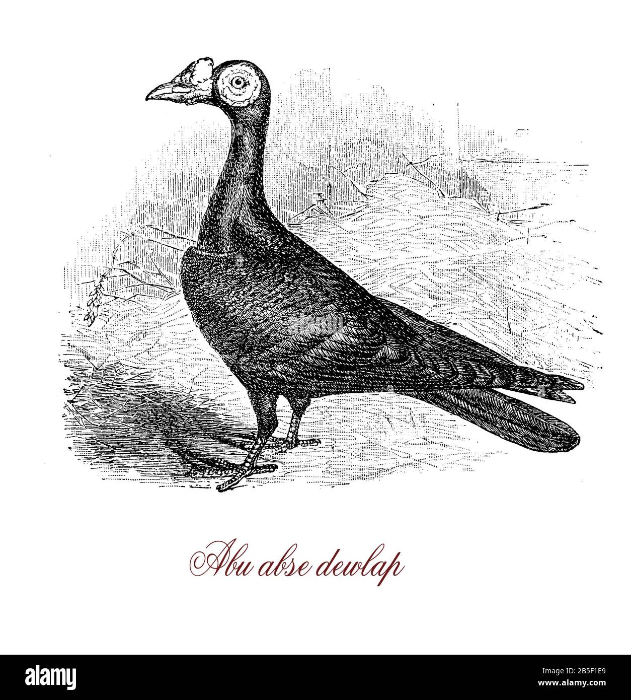 Print originally Cut Out Stock Images & Pictures - Alamy