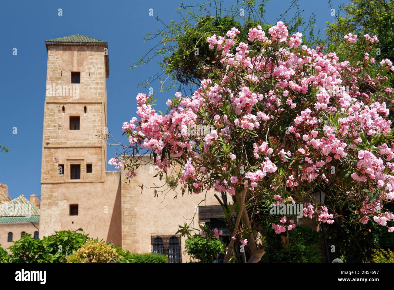 Rabat, the capital of Morocco Stock Photo - Alamy