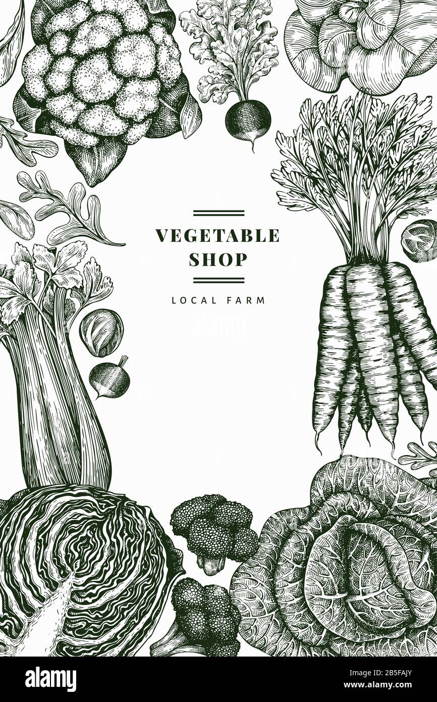 Vintage Vegetable Line Art 221+ Thousand Vintage Drawing Fruit