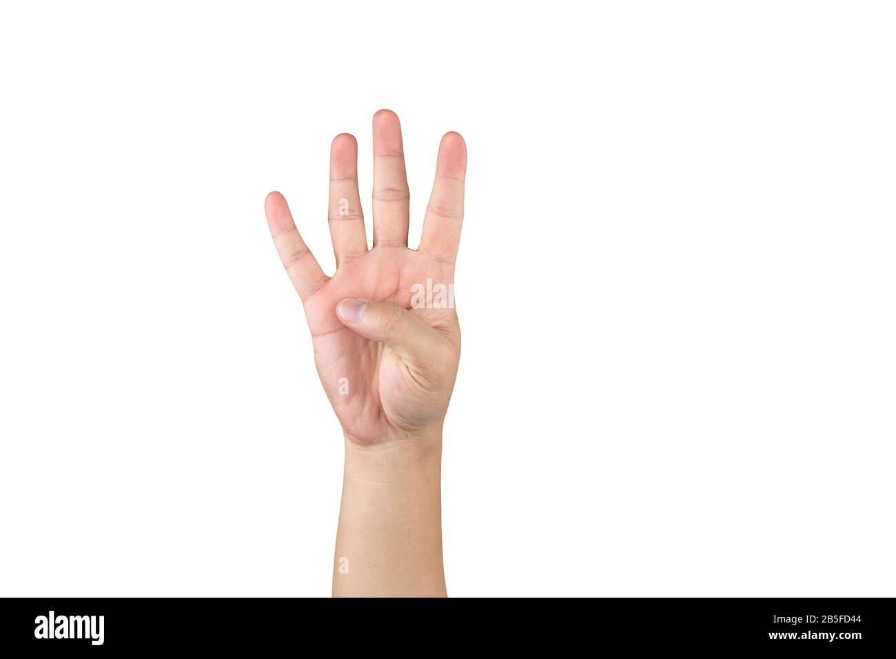 Asian hand shows and counts 4 finger on isolated white background with ...