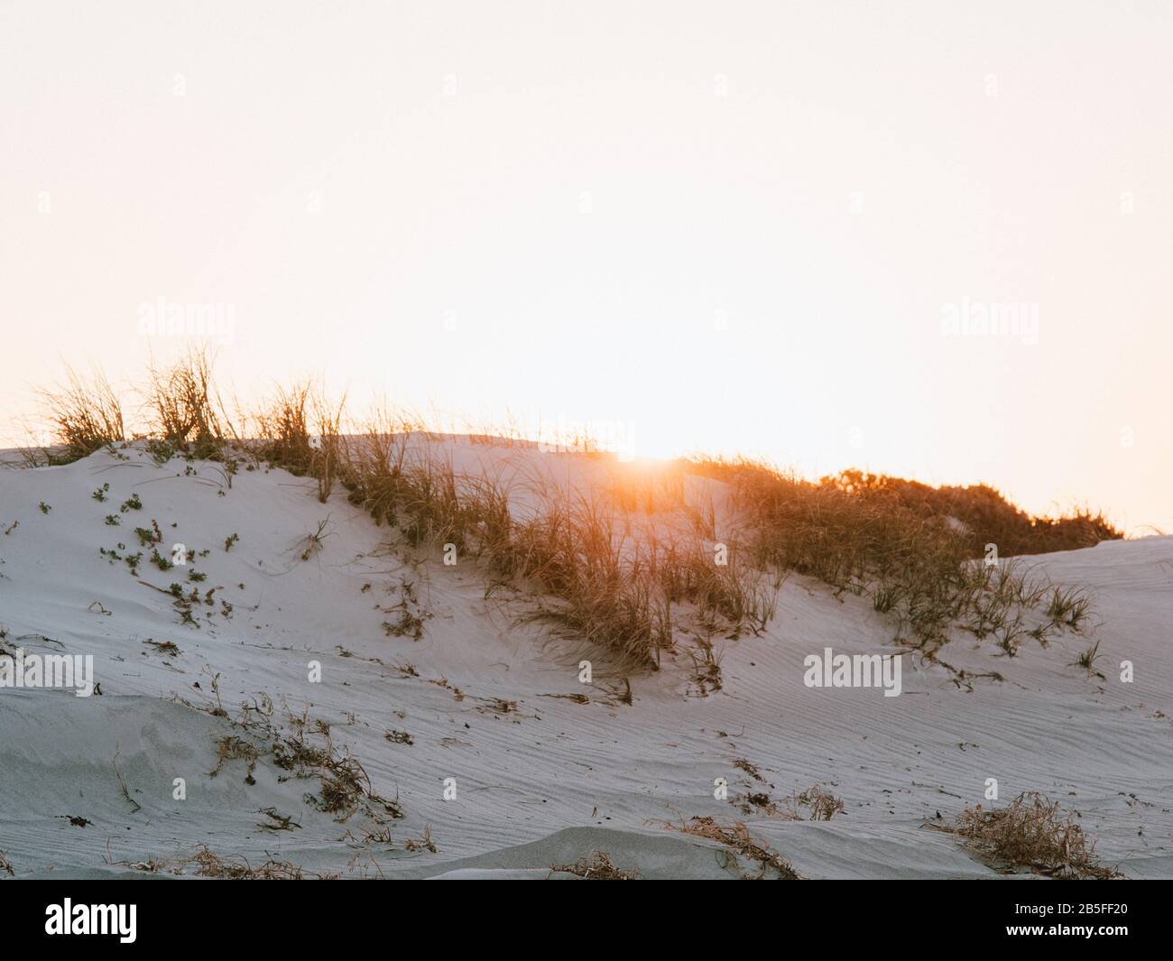 The sun rising over a sand dune in Australia Stock Photo - Alamy
