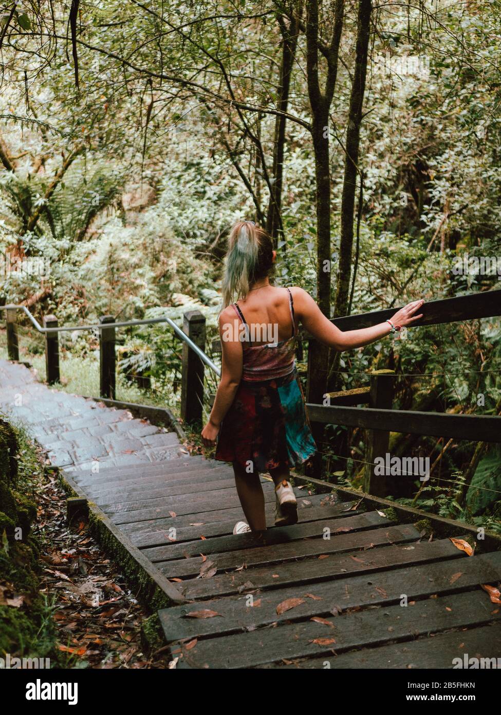 A young woman traveller walking down a wooden pathway through a ...