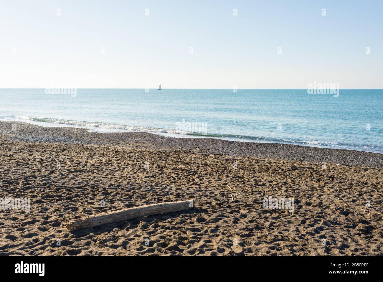 Winter seaside scene in Tuscany with wooden logs on sandy beach, sunny ...