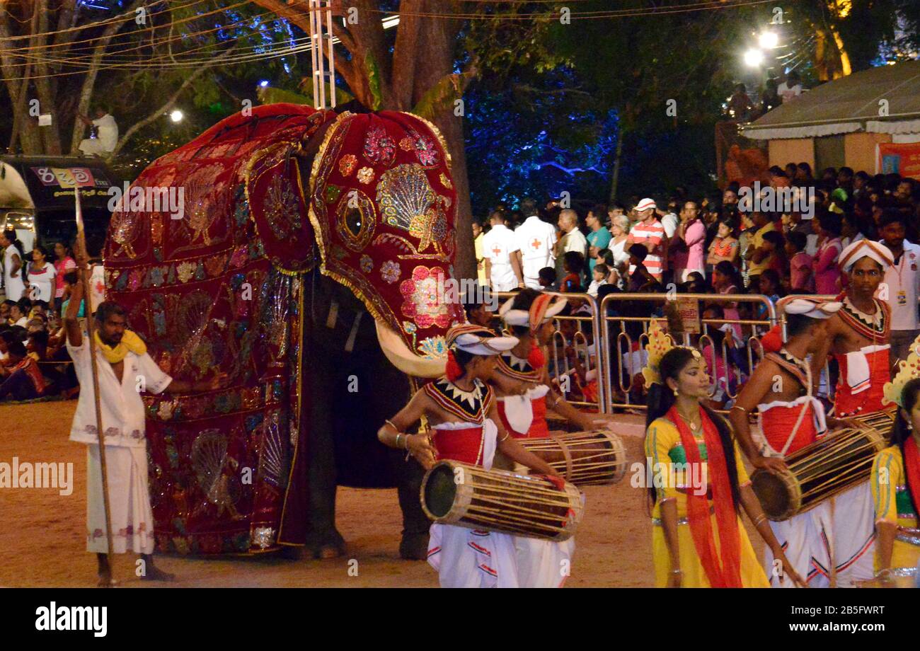 Festival, `Esala Perahera´, Kataragama, Sri Lanka Stock Photo - Alamy