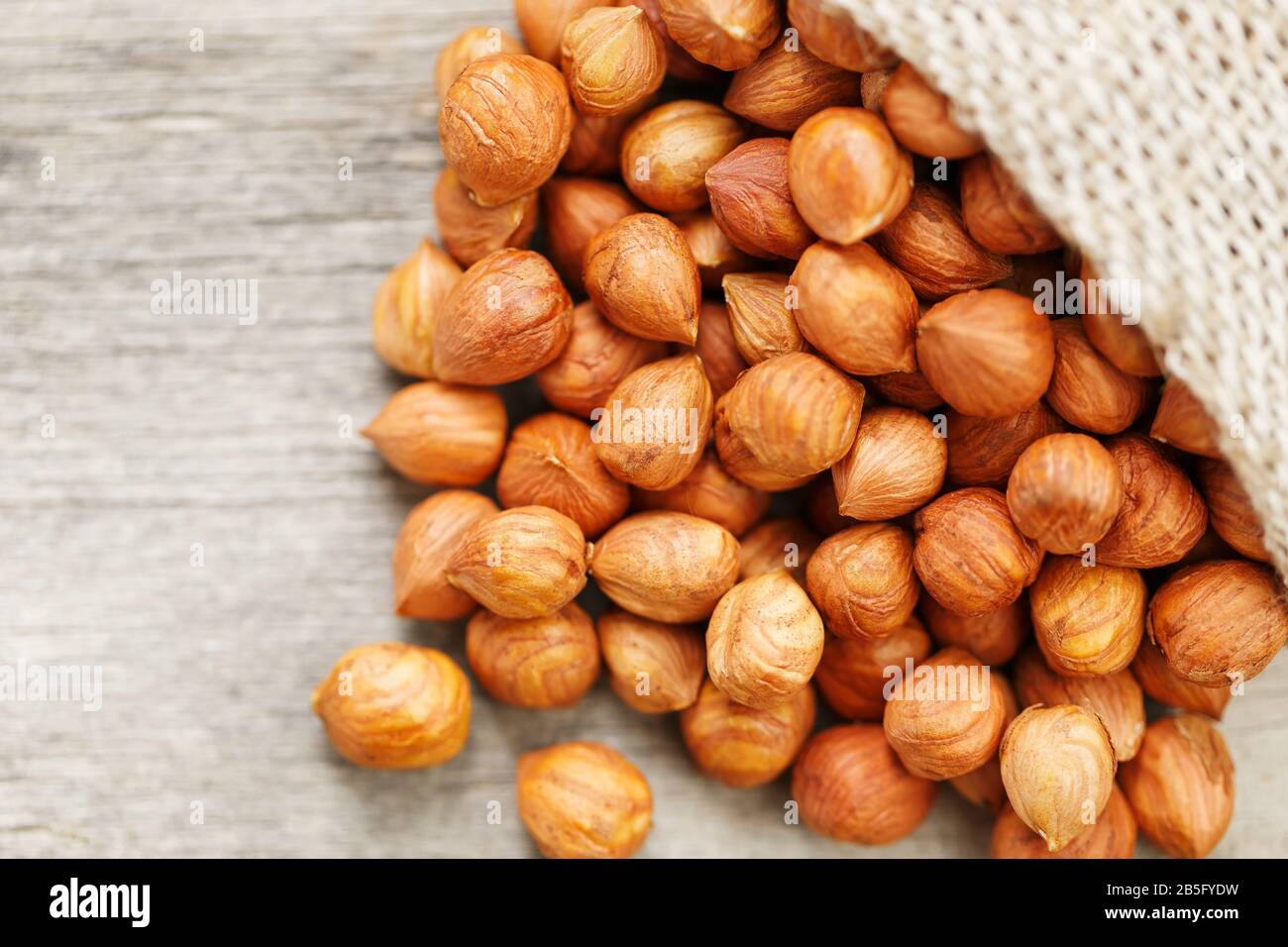 Chiselled hazelnuts in a bag of burlap on a gray wooden table. Organic ...