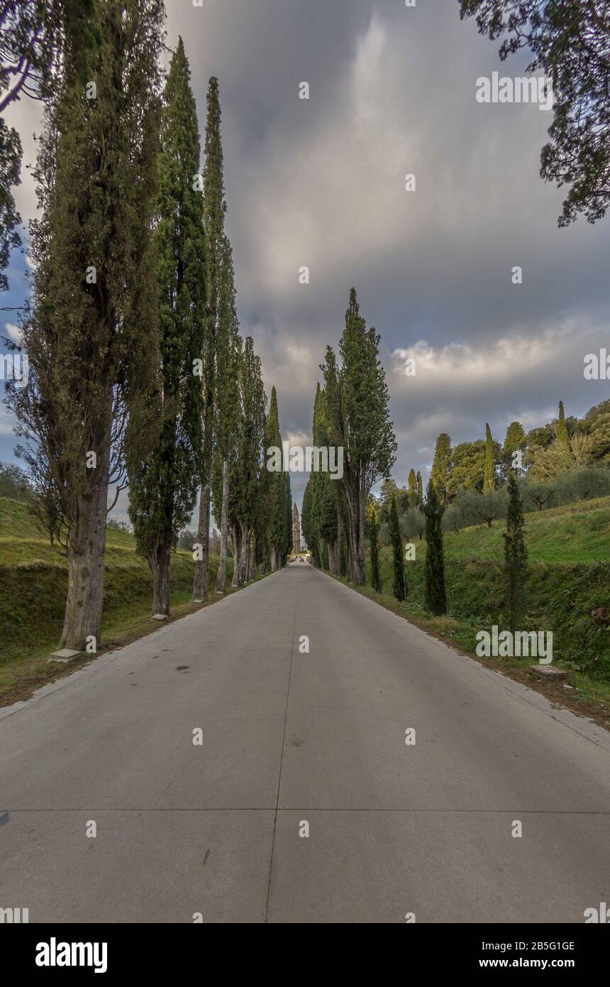 Path lined with cypress trees hi-res stock photography and images - Alamy
