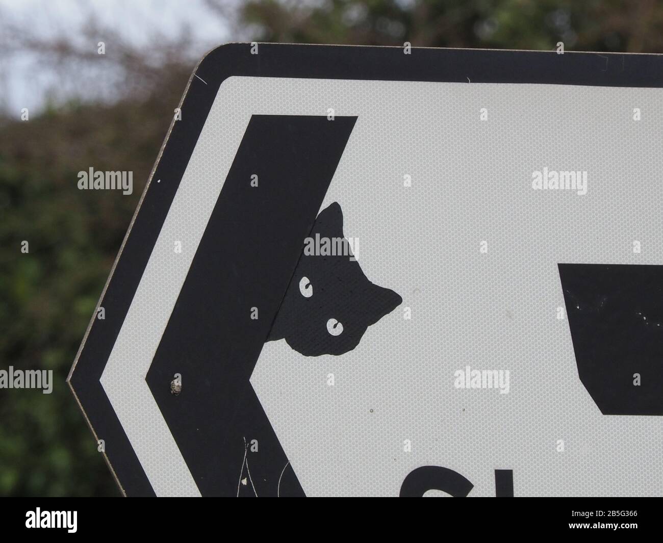 Black cat kent signs hi-res stock photography and images - Alamy