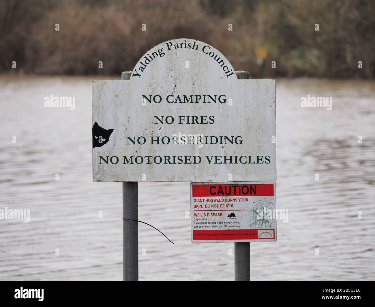 Sheerness, Kent, UK. 8th Mar, 2020. Black cat stickers have been ...