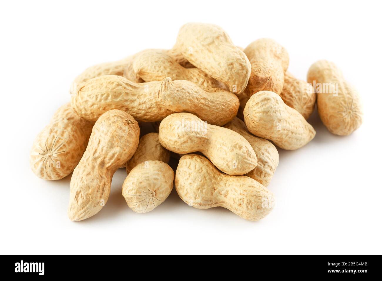 Peanuts. Two unpeeled nuts isolated on white background. Peanut macro ...