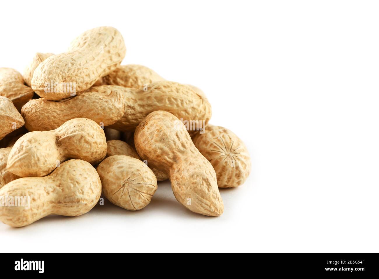 Peanuts. Two unpeeled nuts isolated on white background. Peanut macro ...