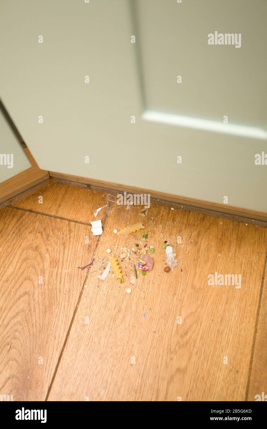 Dropped food and rubbish swept into corner of kitchen floor Stock Photo ...