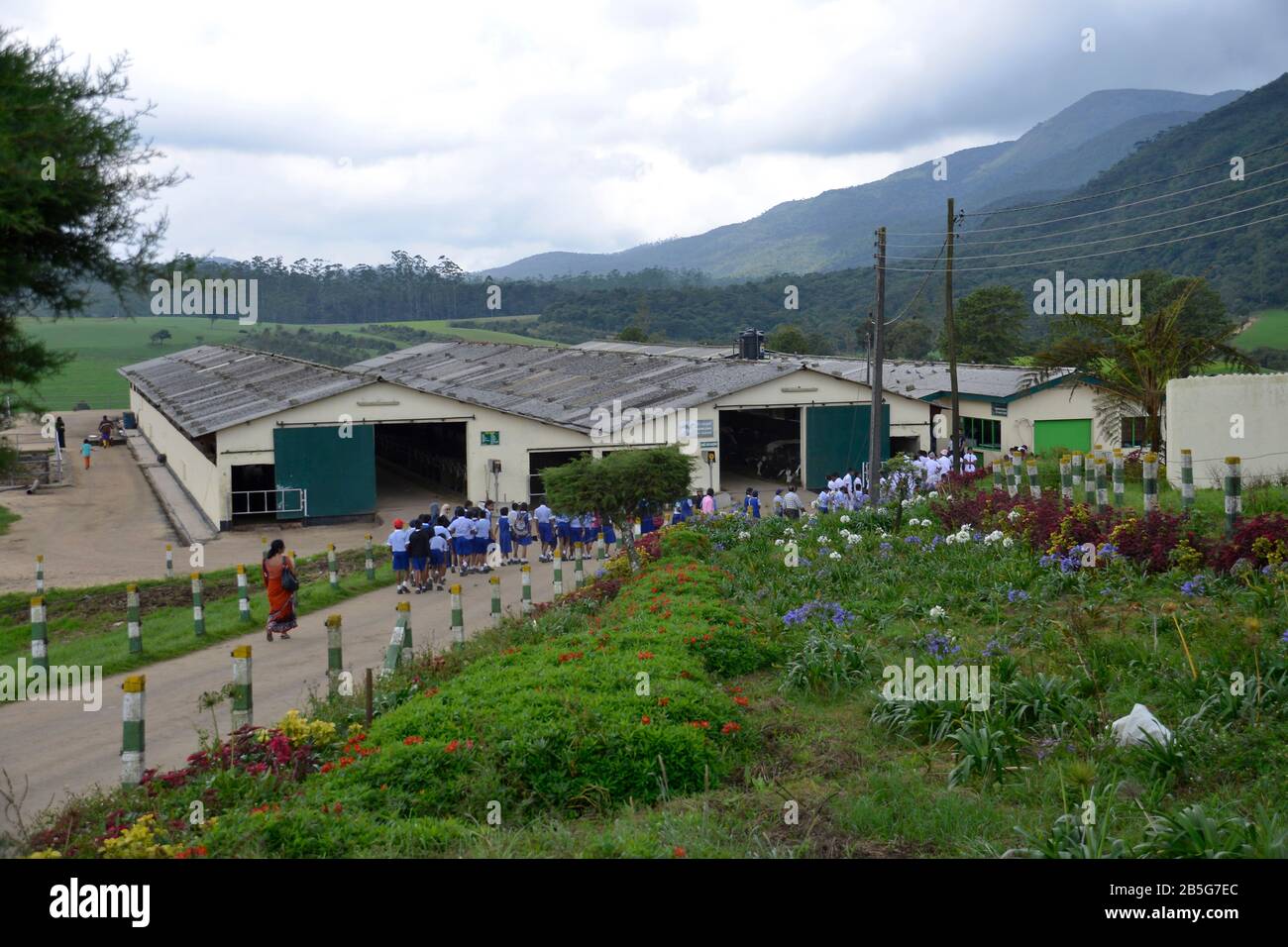 Ambewela farm hi-res stock photography and images - Alamy