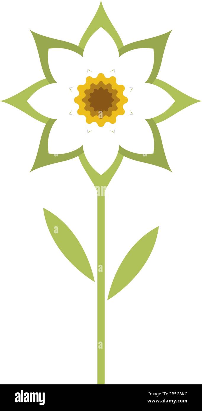 Edelweiss logo illustration vector design Stock Vector Image & Art - Alamy