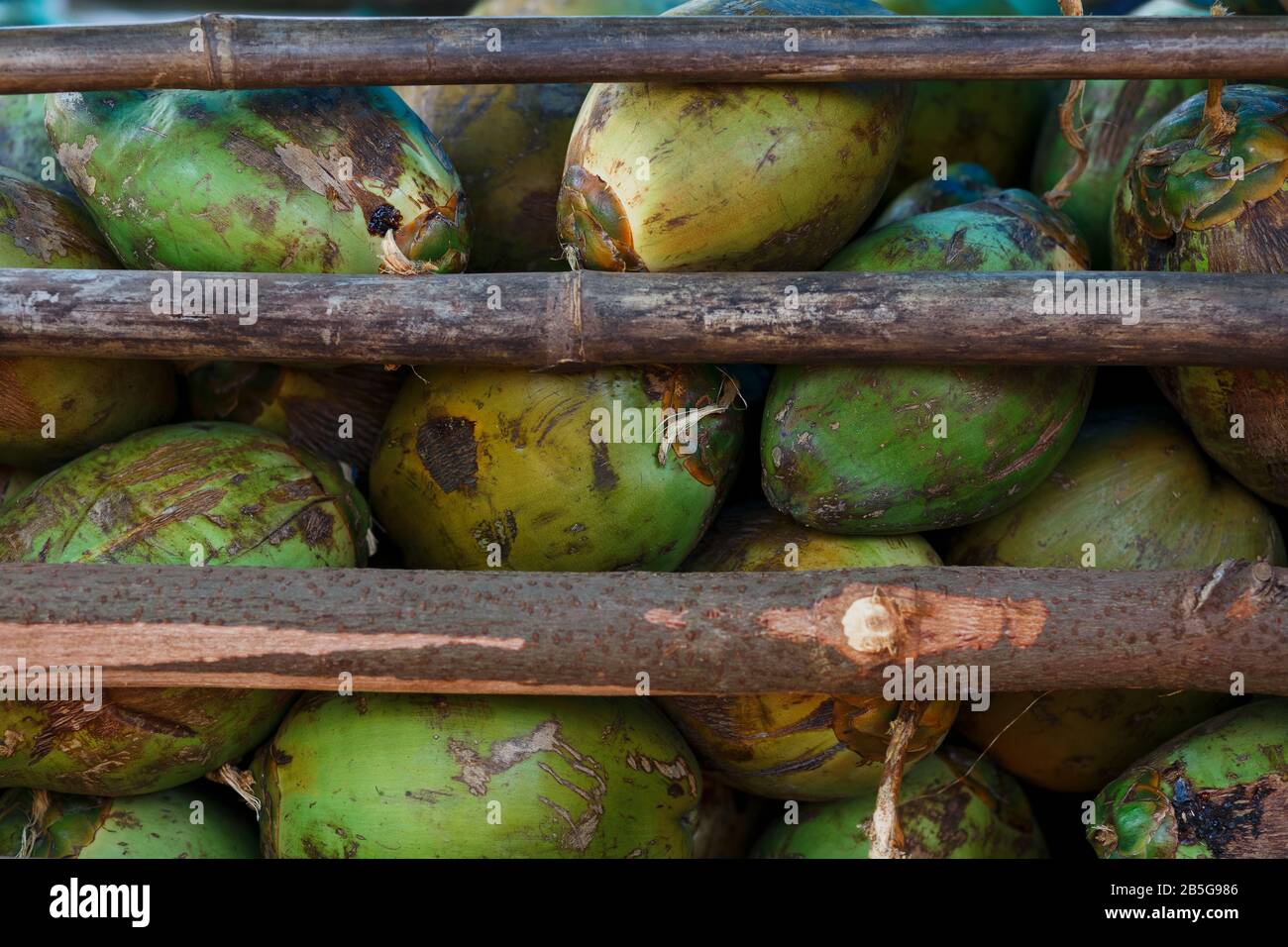 Heavy coconuts hi-res stock photography and images - Alamy
