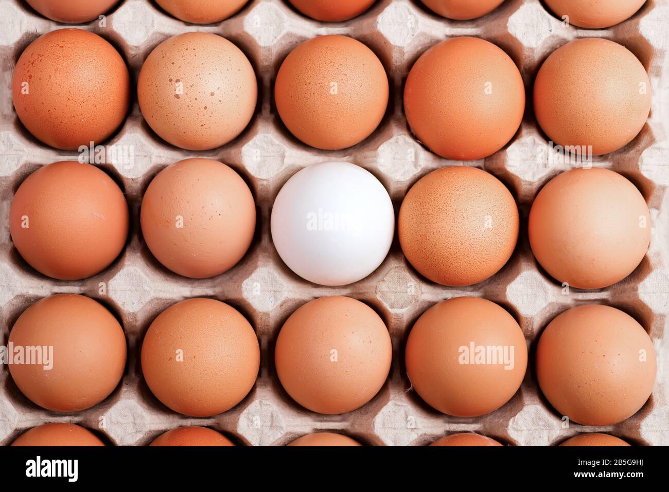 Papercraft container with natural farm eggs as natural food background ...