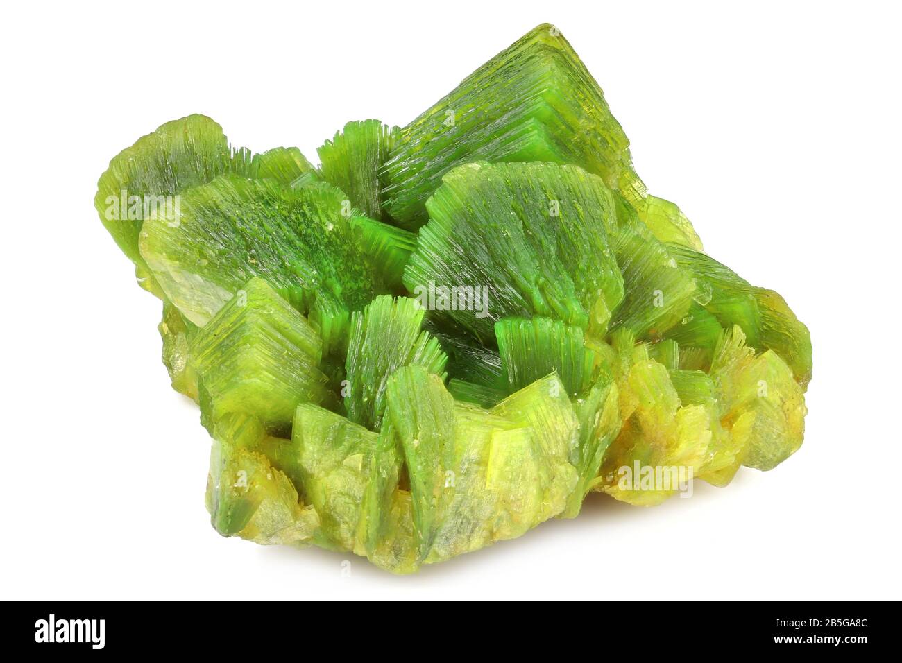 lamellar yellow green autunite crystal cluster isolated on white ...