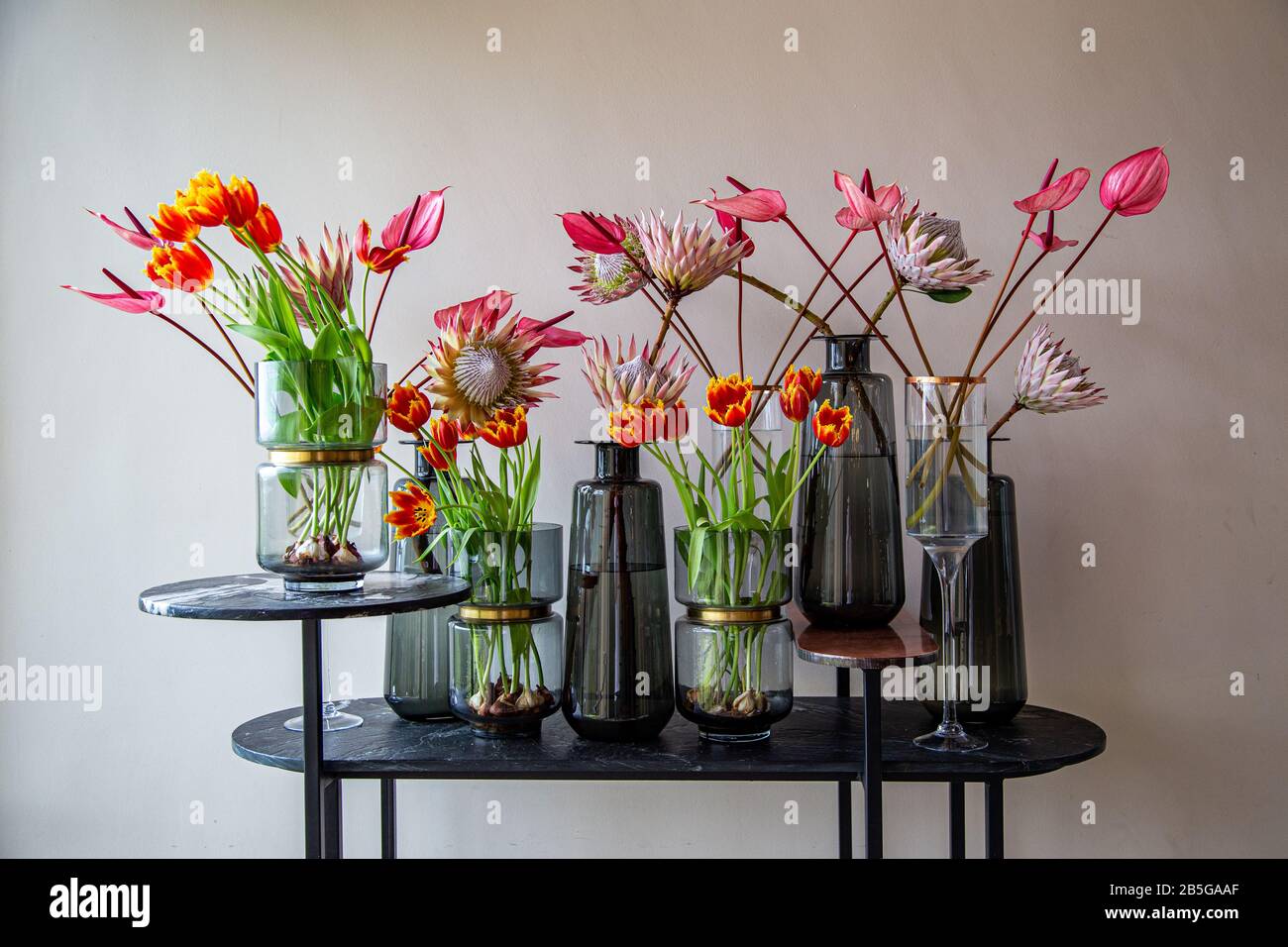 background, beautiful, beauty, bloom, blossom, bouquet, bright, bunch ...