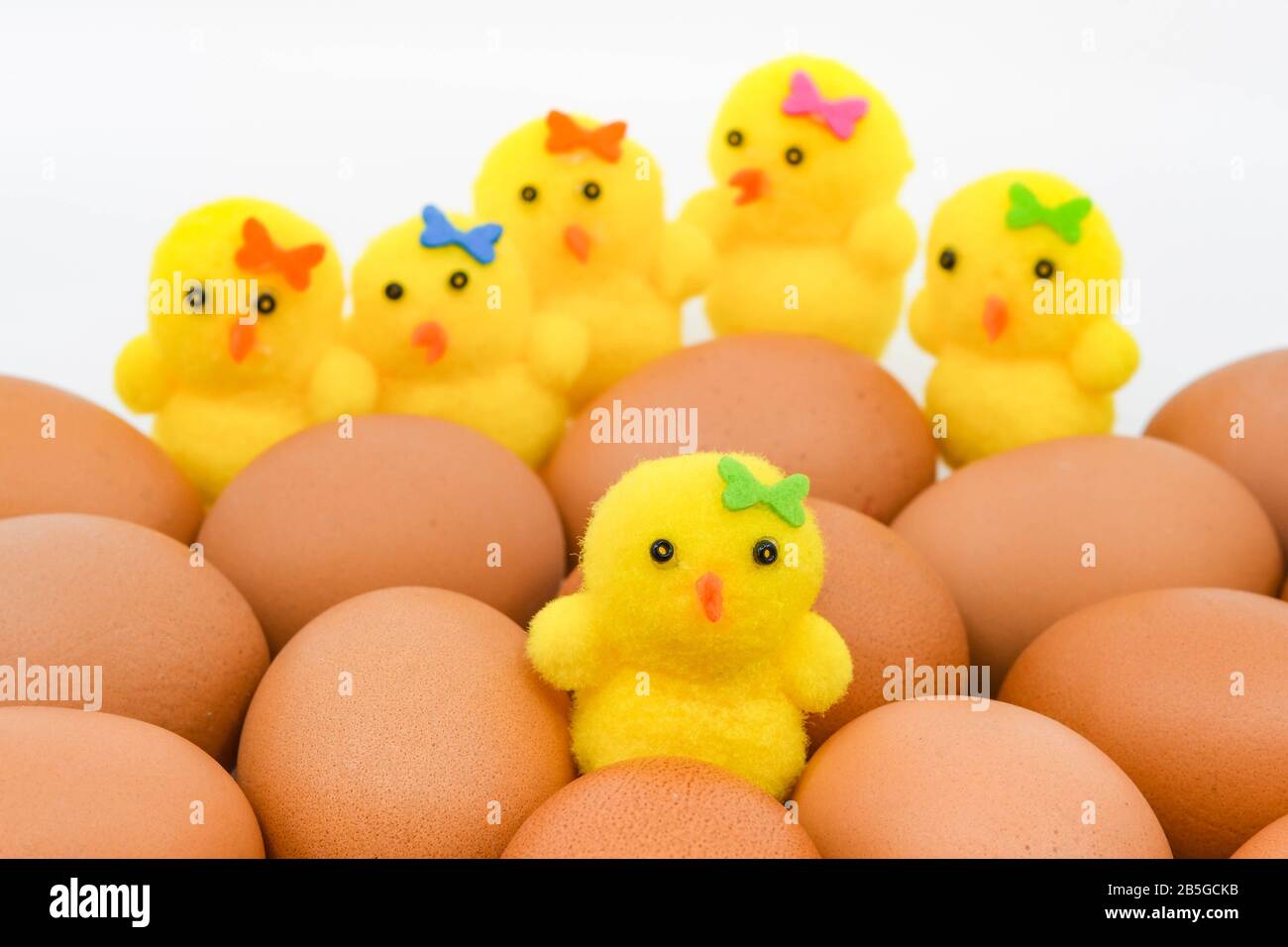 Close up of a yellow chick made of foam sitting among a clutch of fresh ...