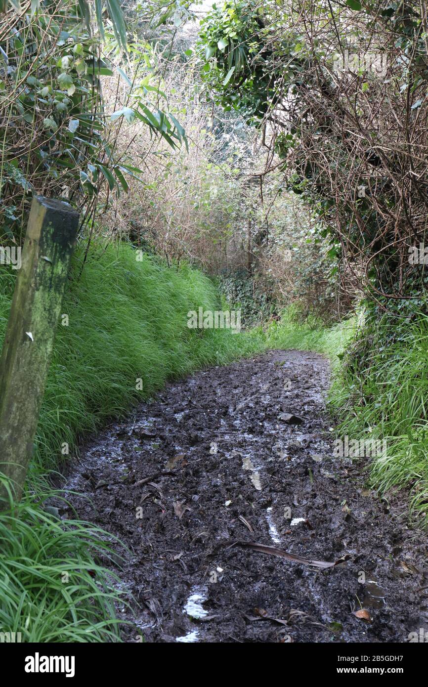 Very muddy footpath Stock Photo - Alamy