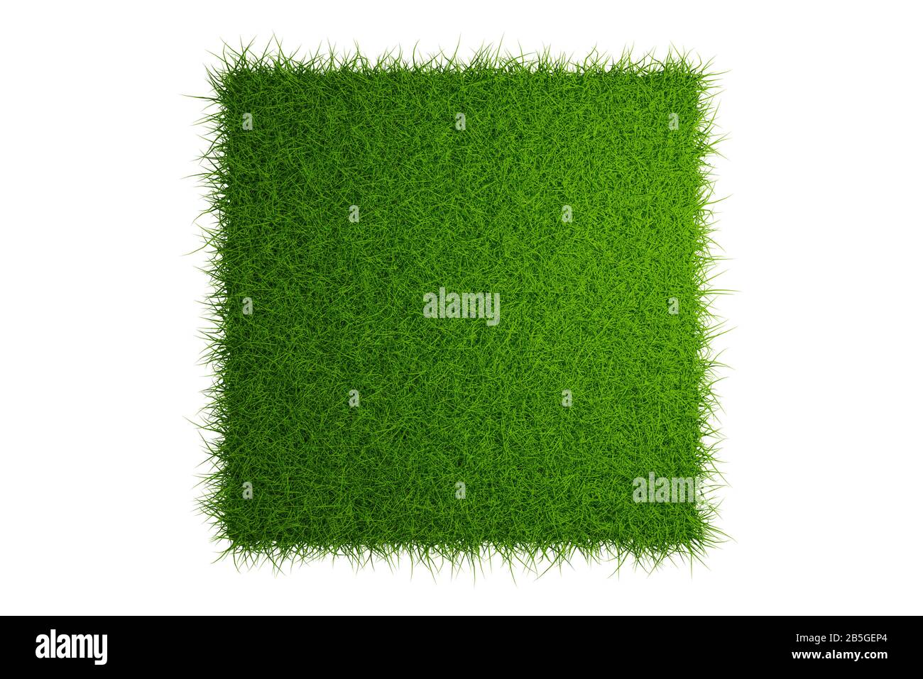 Grassy Field Top View