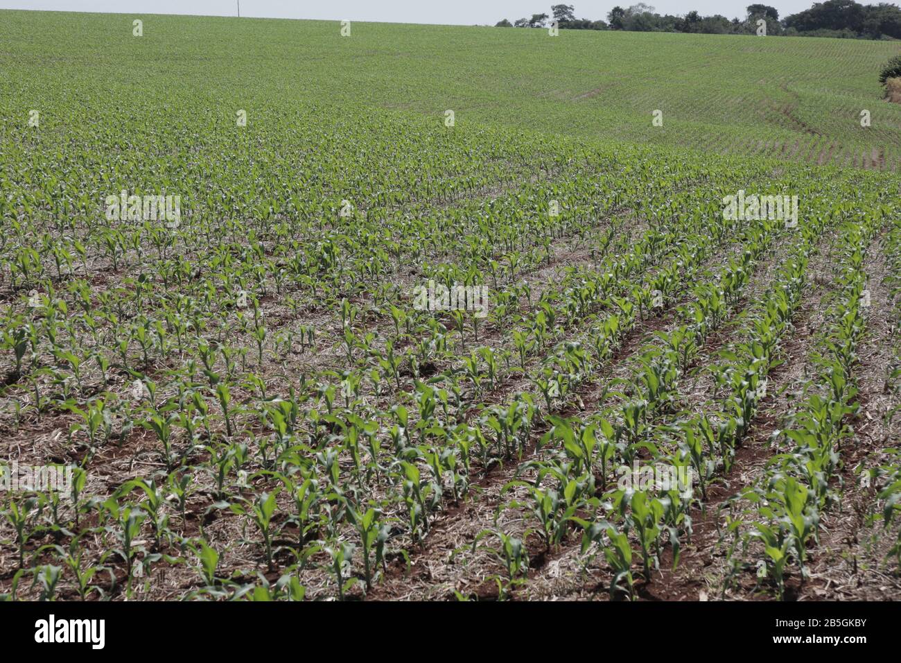 07 03 2020 hi-res stock photography and images - Alamy
