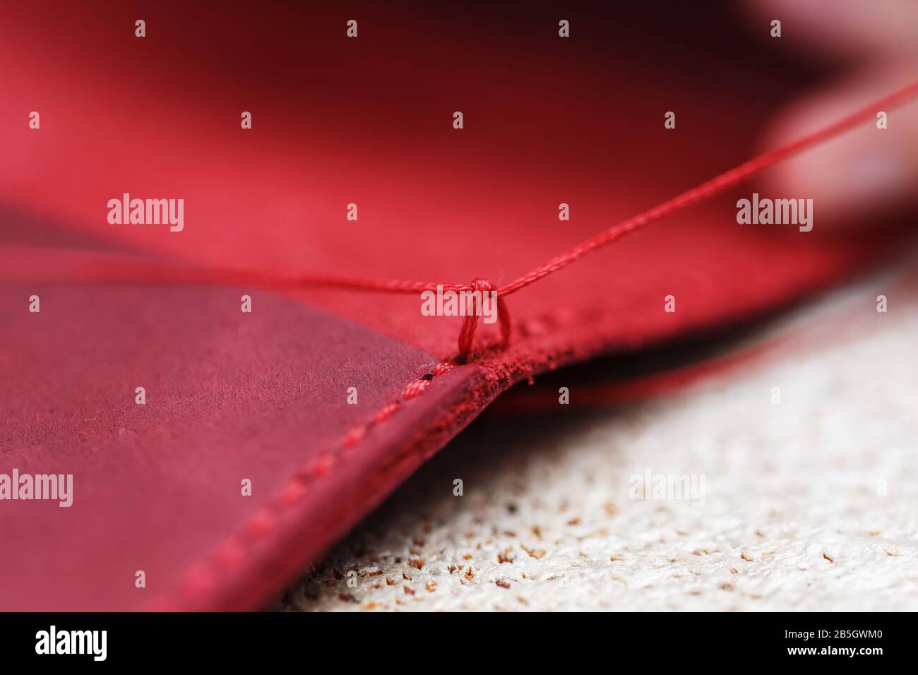 Conceptual profession of a Tanner. The woman's hands closed around the ...