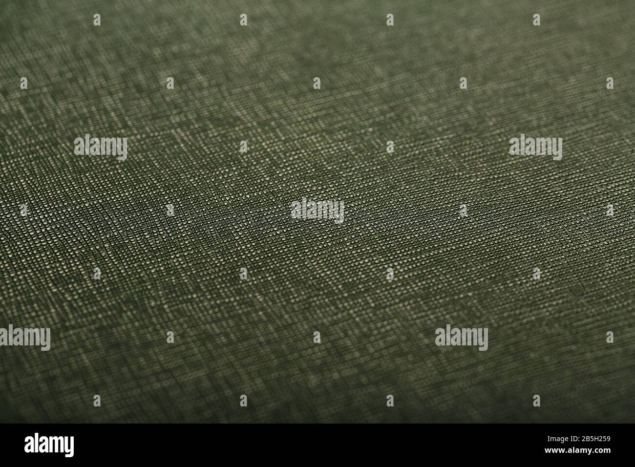 Green skin texture close up as background. In full screen. The material ...