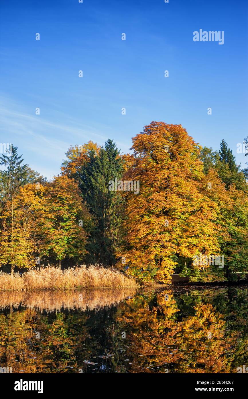 Autumn foliage and lake, idyllic scenery in Lazienki Park in Warsaw ...