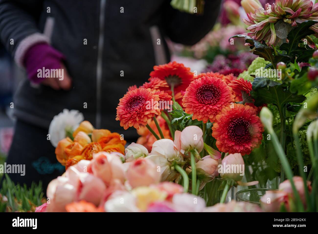 Gerbera floristry flower shop hi-res stock photography and images - Alamy