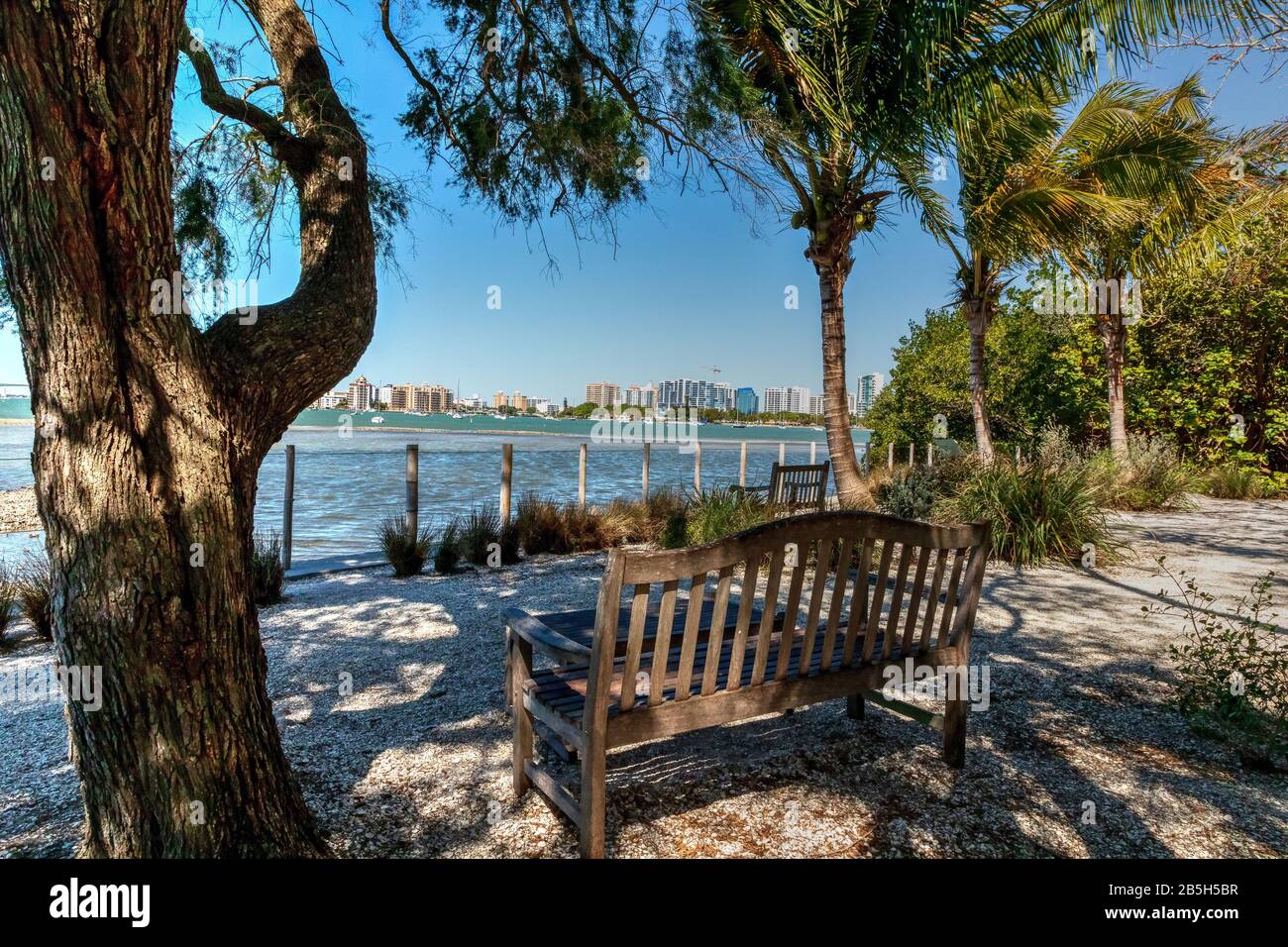 Bench view of Sarasota Bay with a calm, tranquil waterfront view in ...