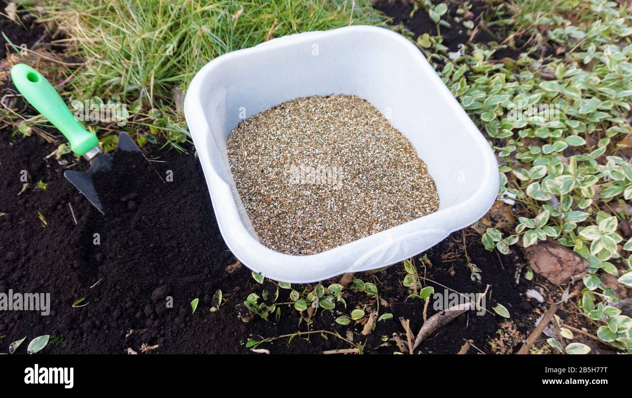The process of preparing the soil mixture for transplanting plants or ...