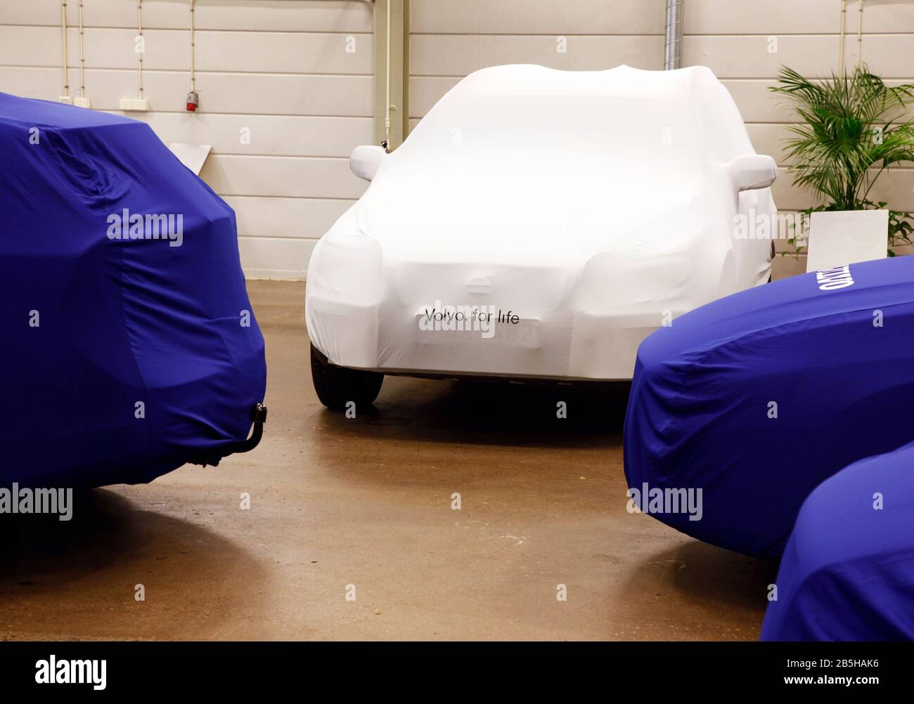 New Volvo cars ready for delivery.Photo Jeppe Gustafsson Stock Photo ...