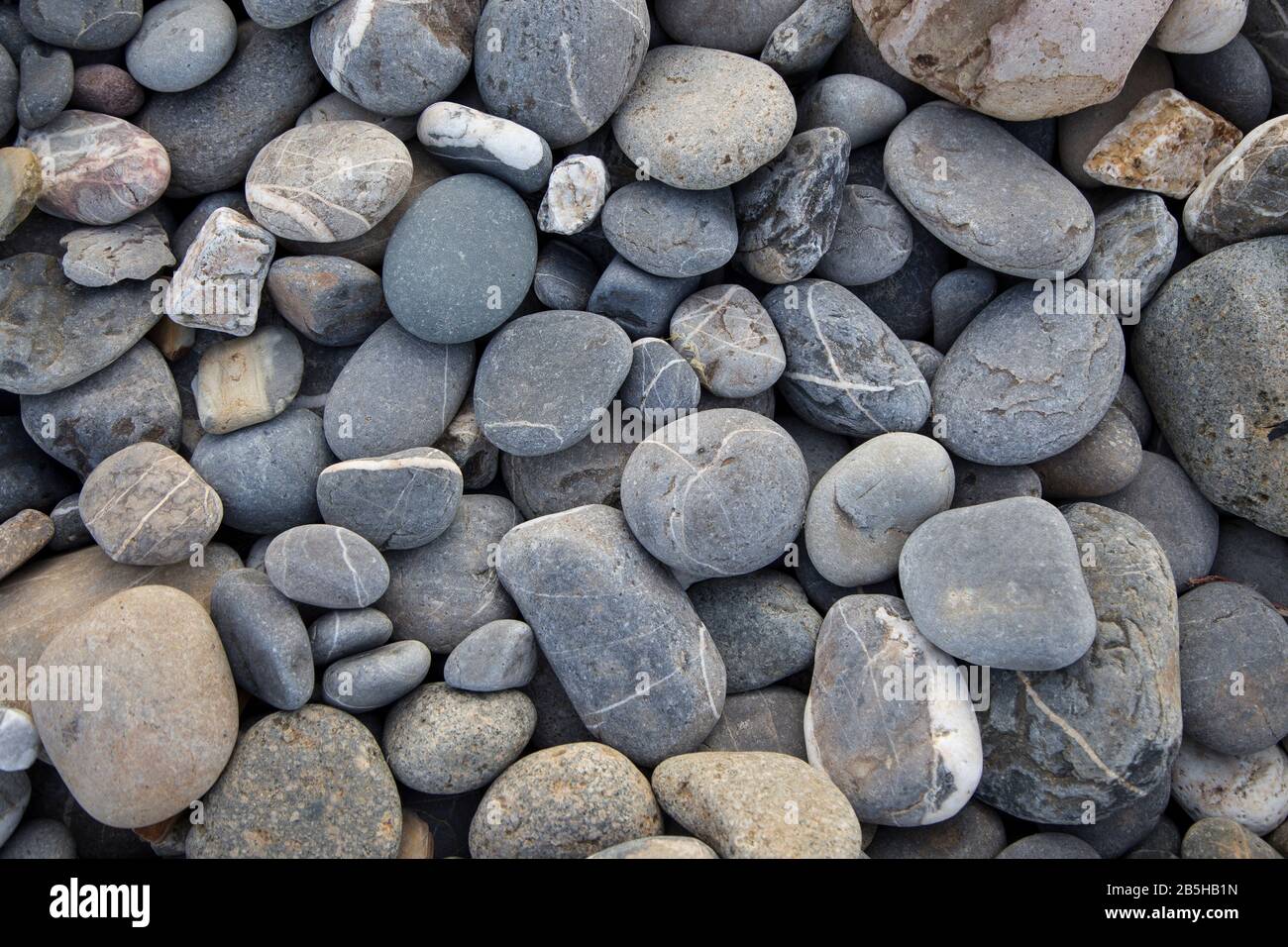 pebbles on the beach Stock Photo - Alamy