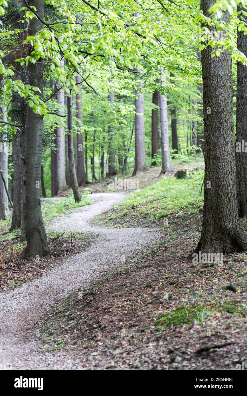 Empty gravel pathway hiking hi-res stock photography and images - Alamy
