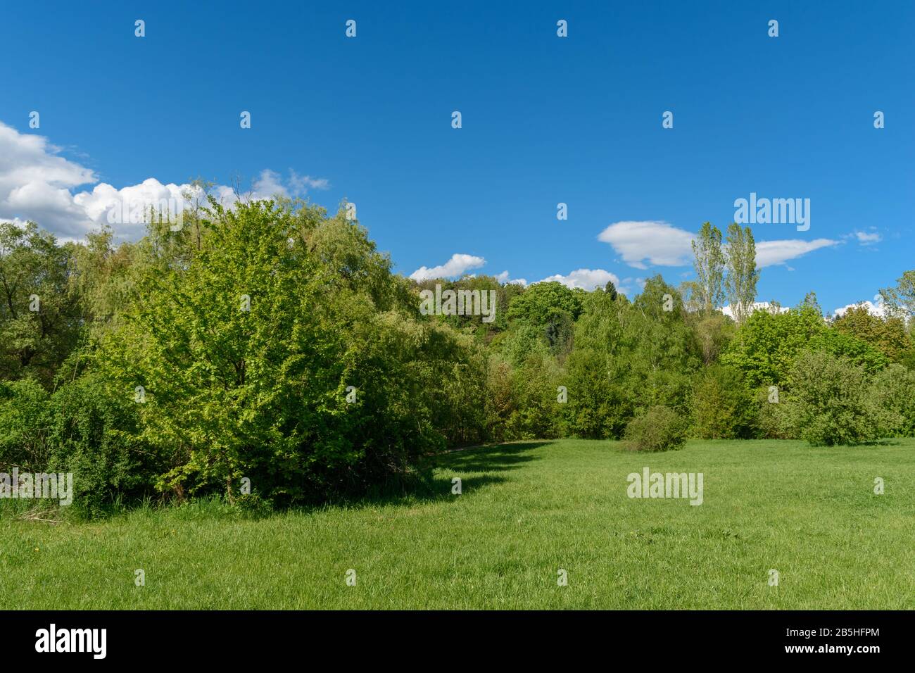 Beautiful landscape clouds grass trees hi-res stock photography and ...