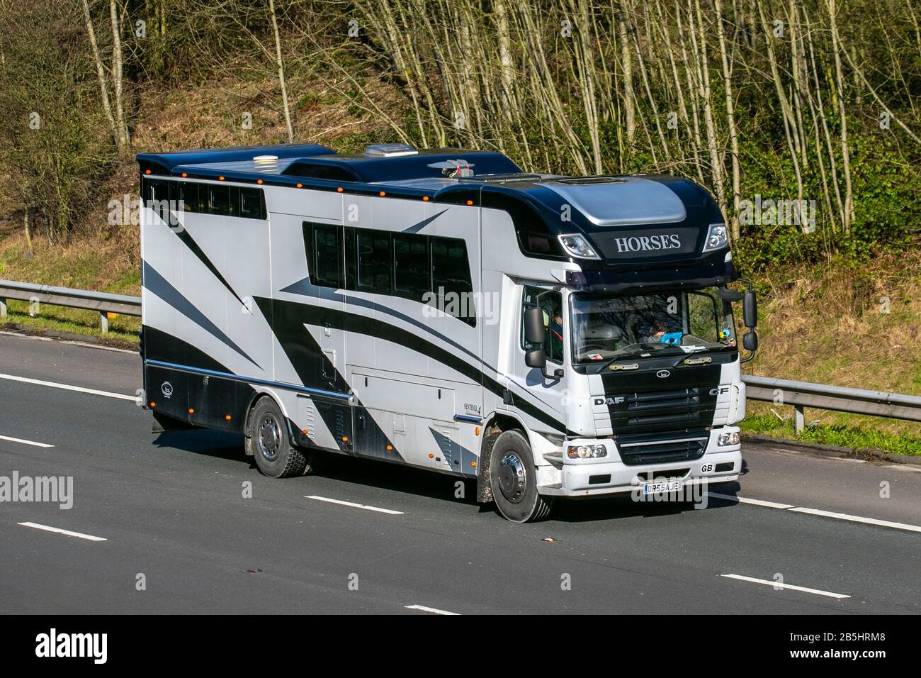 DAF Sentinel Elite 4 18T black & white Horseboxes; Multiple Horses in ...