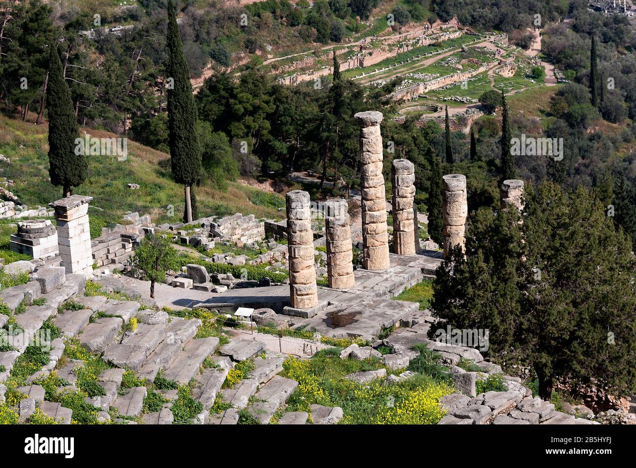 Olive tree delphi hi-res stock photography and images - Alamy