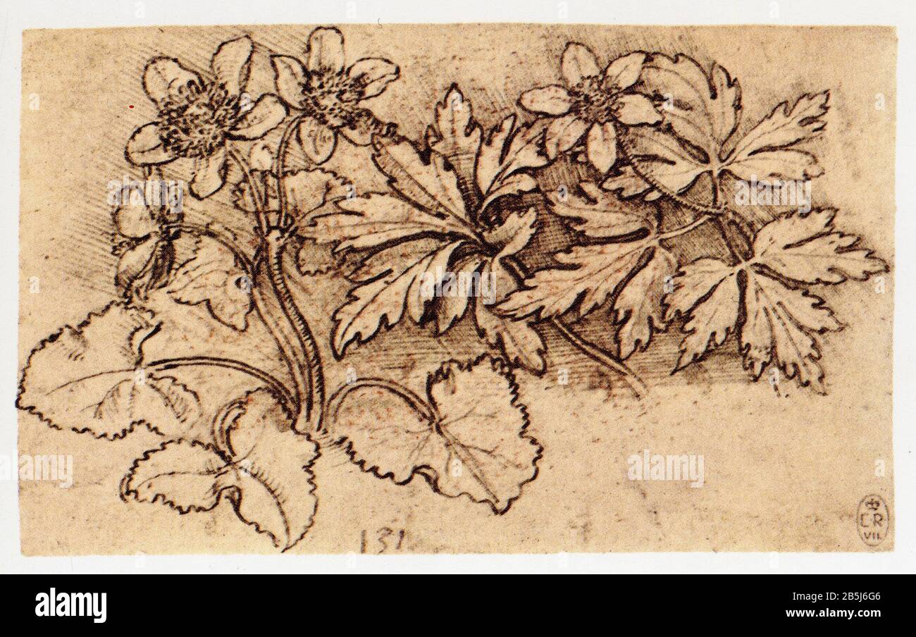 Leda leonardo da vinci hi-res stock photography and images - Alamy
