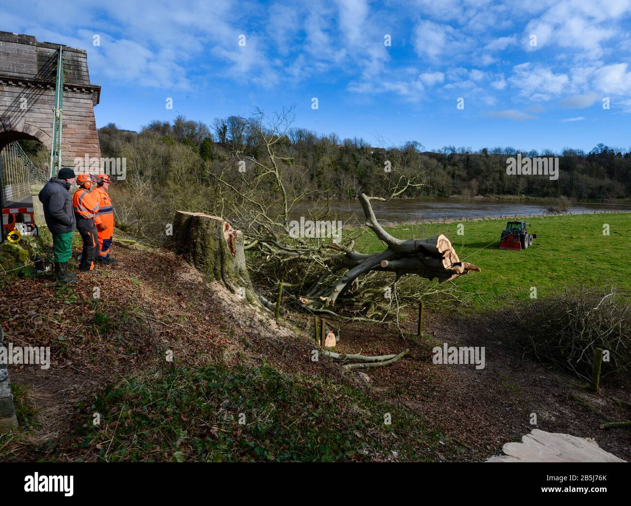 Clearing trees on the Scottish side of the border so work can commence ...