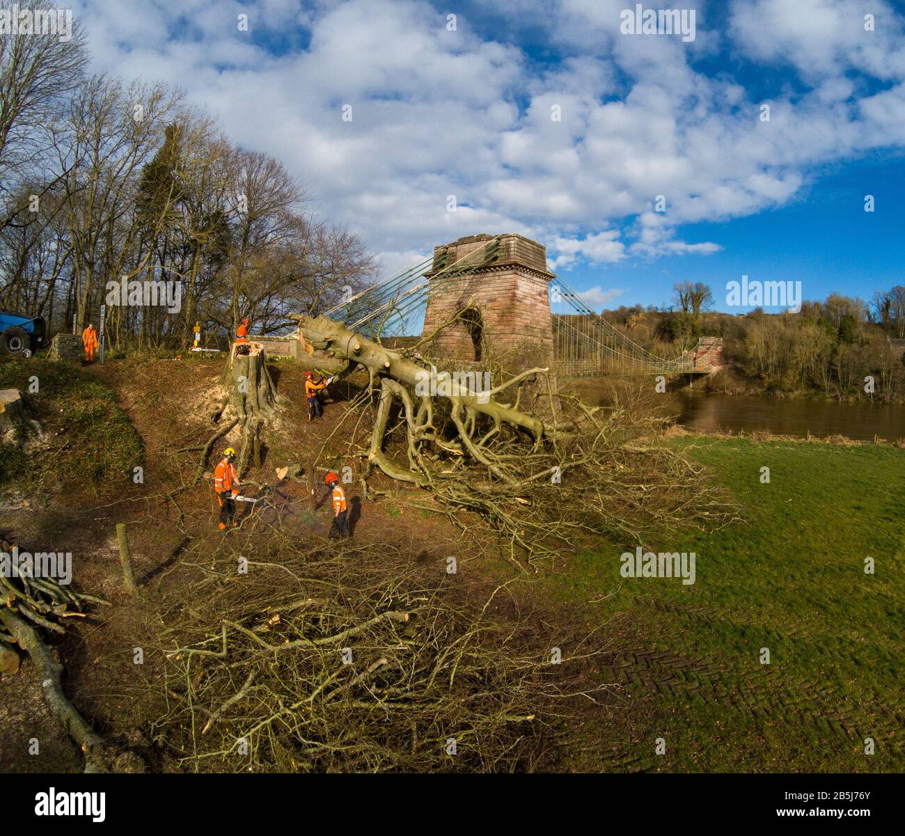 Clearing trees on the Scottish side of the border so work can commence ...